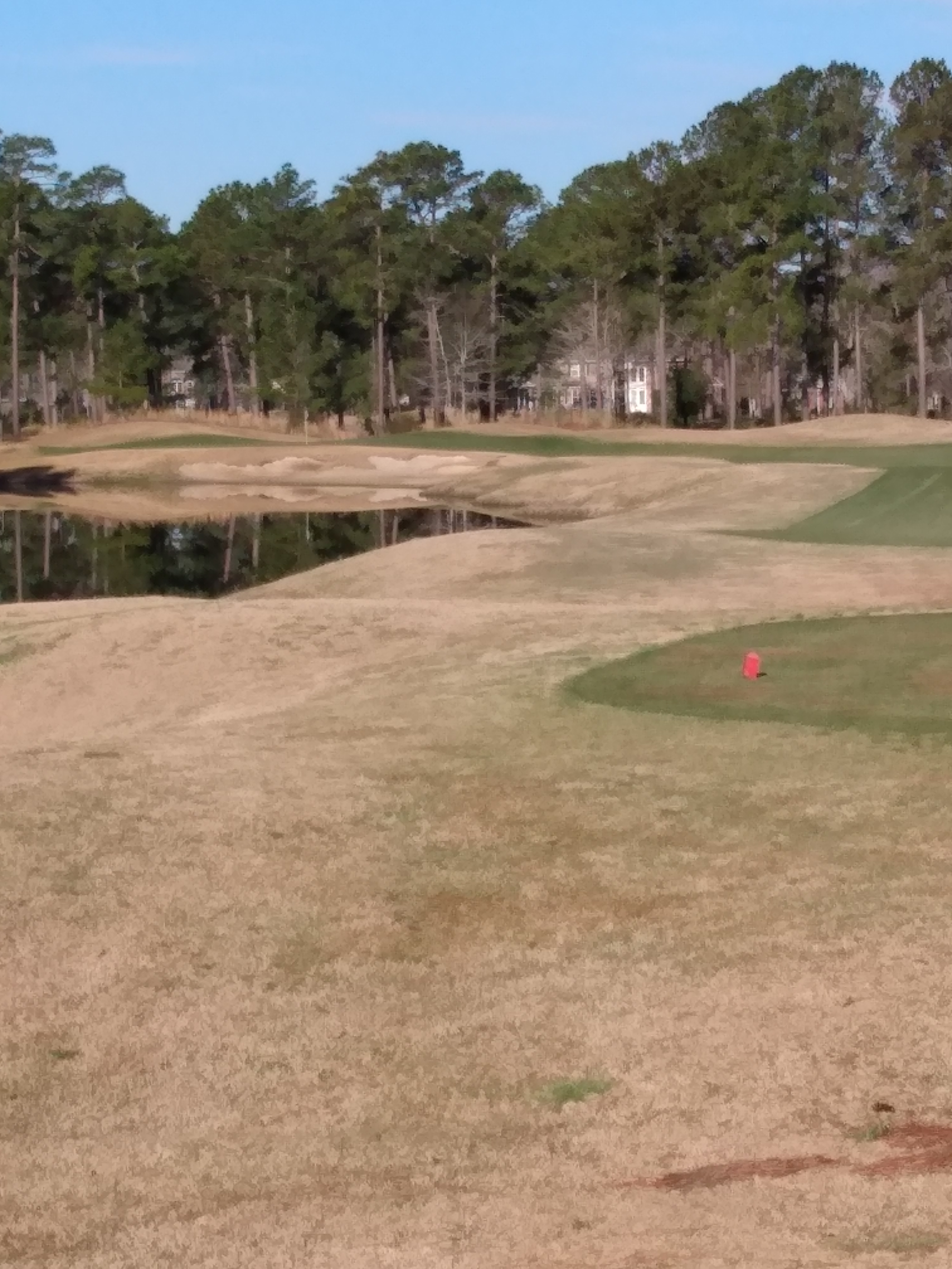 Leopards Chase March 2-20 – Golf Course Talk – Myrtle Beach Golf Talk Forum