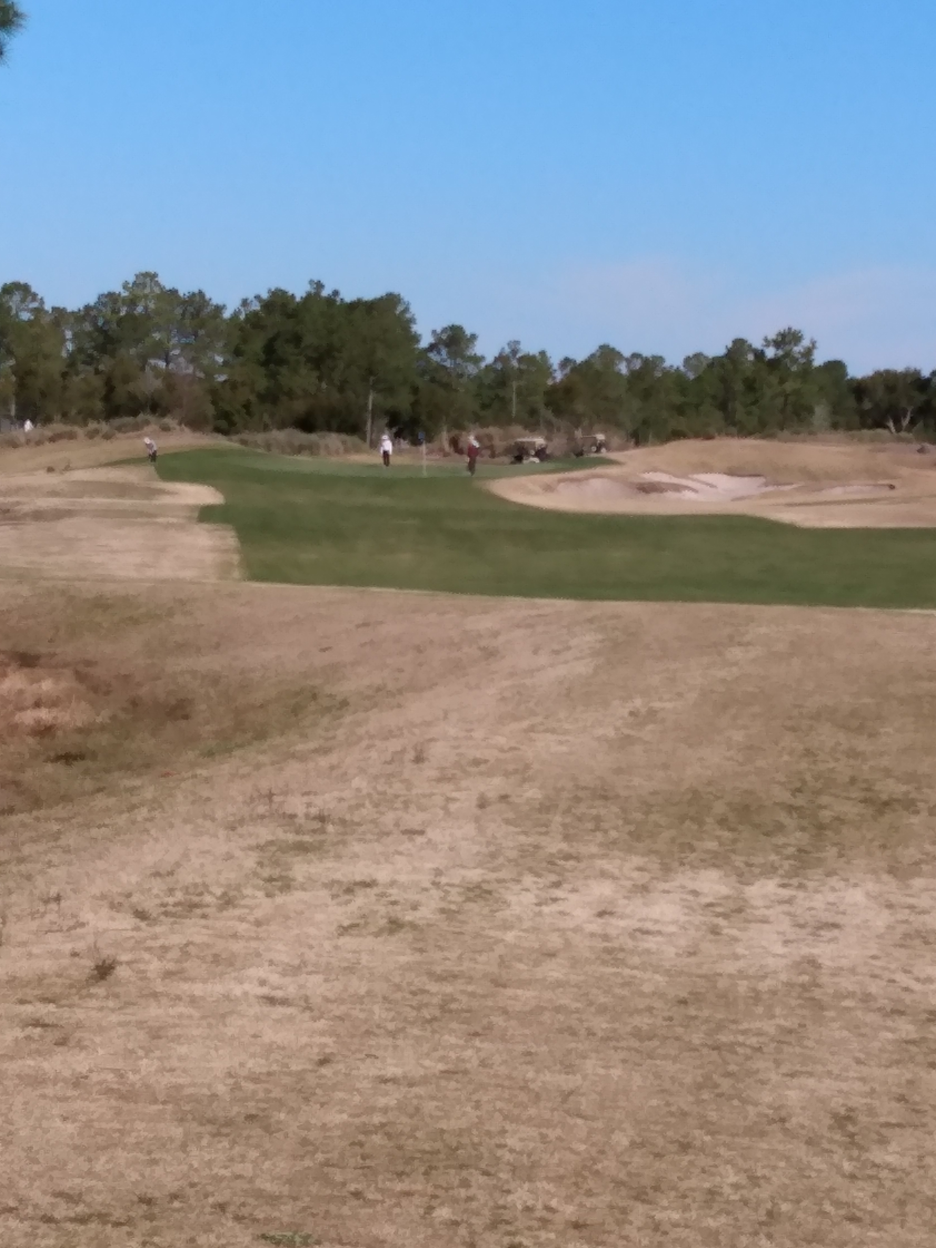 Leopards Chase March 2-20 – Golf Course Talk – Myrtle Beach Golf Talk Forum