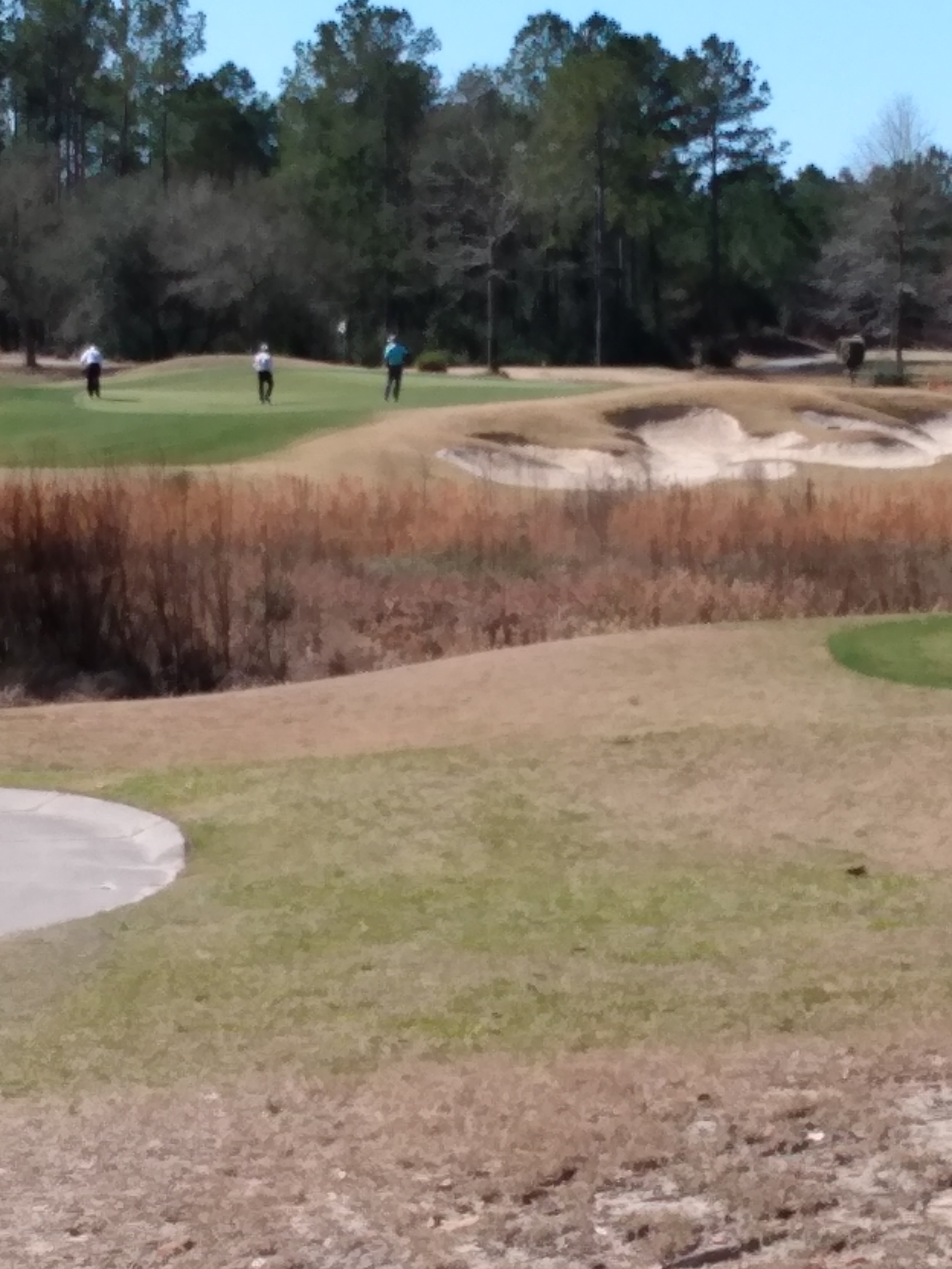 Leopards Chase March 2-20 – Golf Course Talk – Myrtle Beach Golf Talk Forum